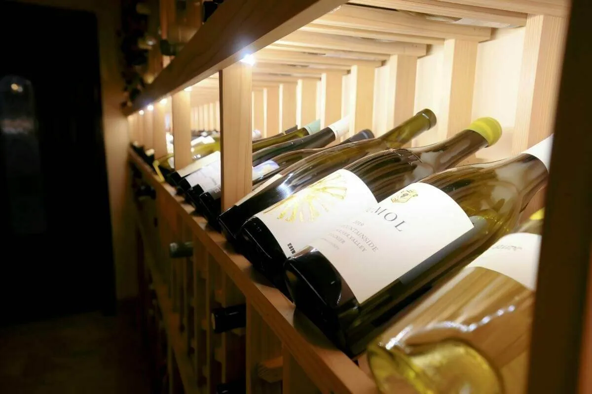 The Basics of Wine Cellar Lighting: Enhancing Storage